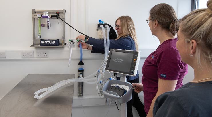 Burtons | Beacon VetCare Summercourt: A Community-Driven Veterinary Vision